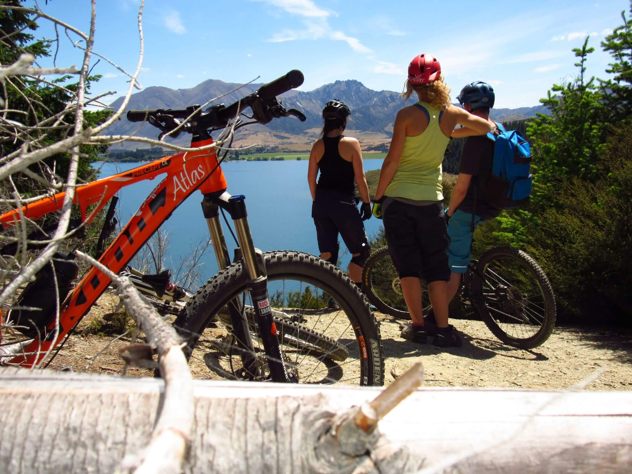 Wynyard - Dream Track - Mini Dream | Queenstown Mountain Bike Trails
